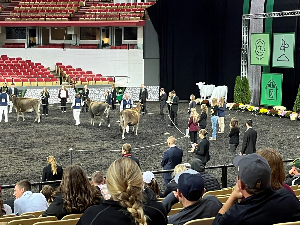 News | South Harrison High School